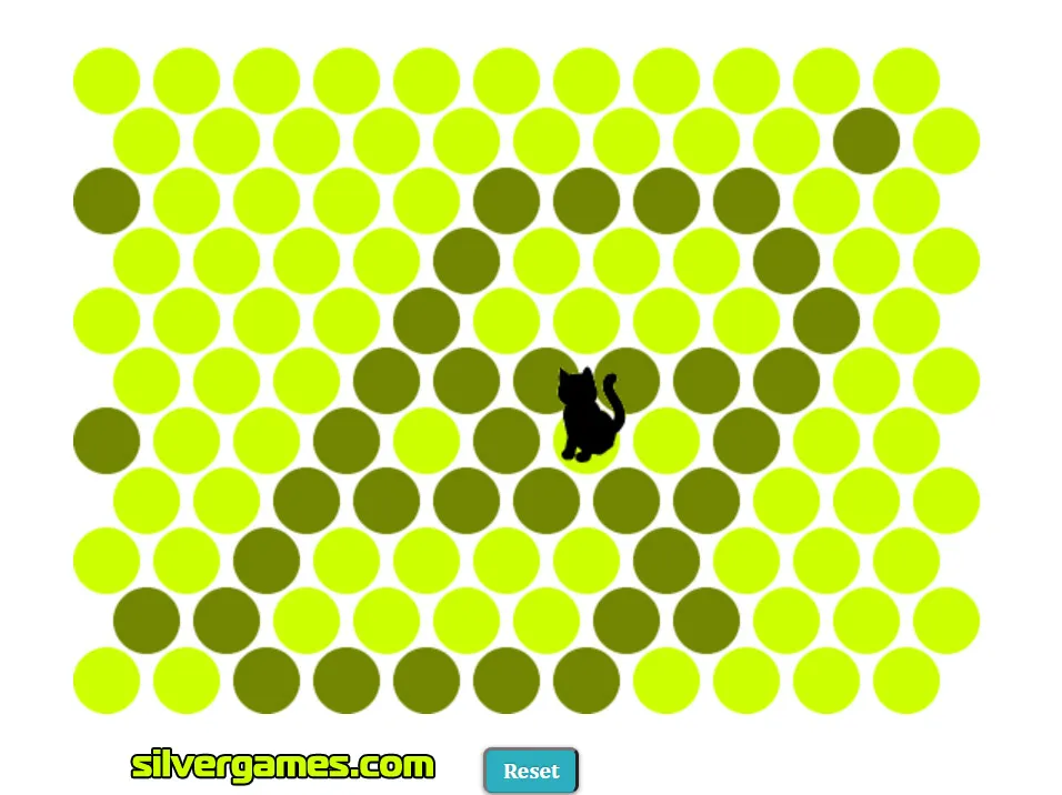 Micha Briskman Portfolio